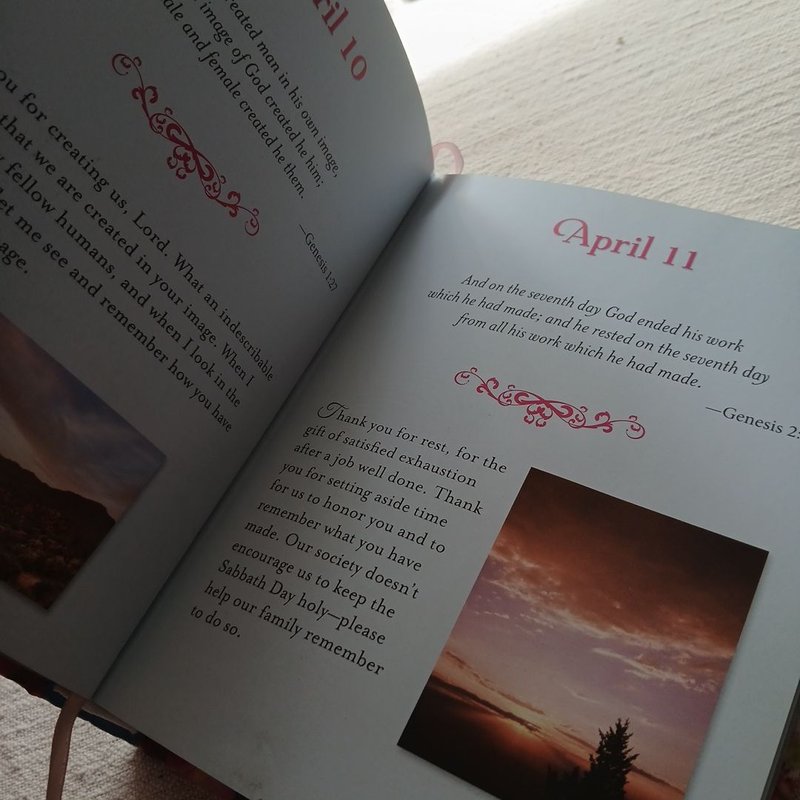 Daily Gratitude by , Hardcover | Pangobooks