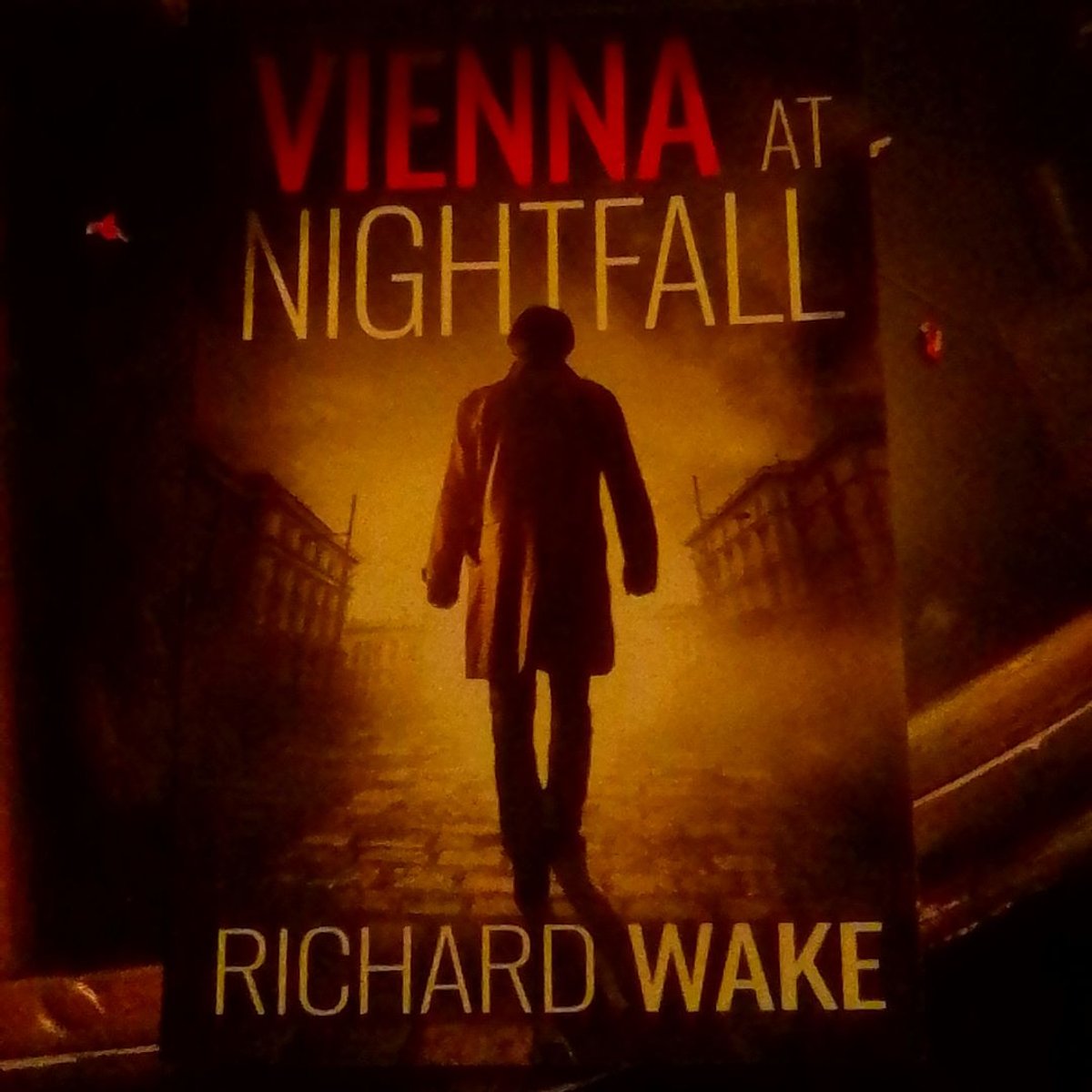 Vienna at Nightfall by Richard Wake
