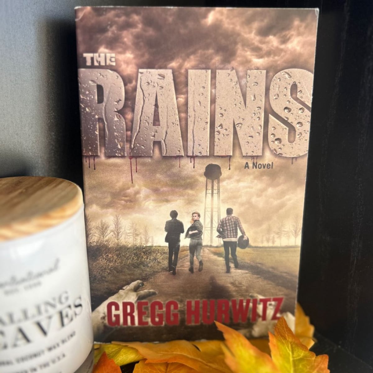 The Rains by Gregg Hurwitz, Paperback | Pangobooks