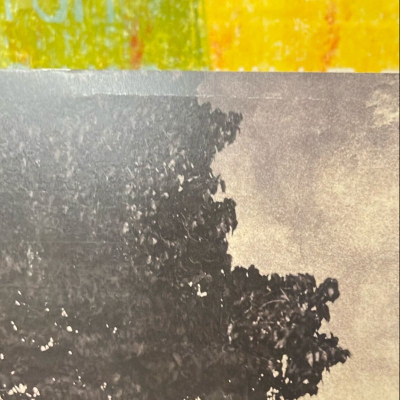 Captain Linnaeus Tripe by Roger Taylor, Crispin Branfoot, Sarah ...