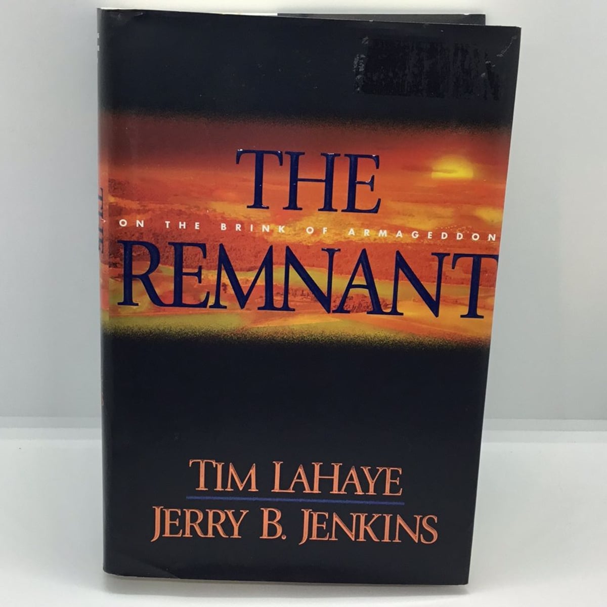 The Remnant by Tim Lahaye, Jerry B. Jenkins
