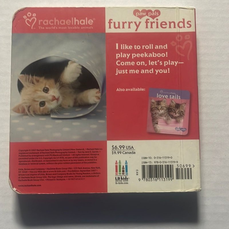 Furry Friends by Rachael Hale, Hardcover | Pangobooks