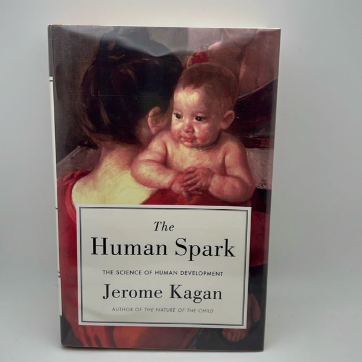 The Human Spark by Jerome Kagan