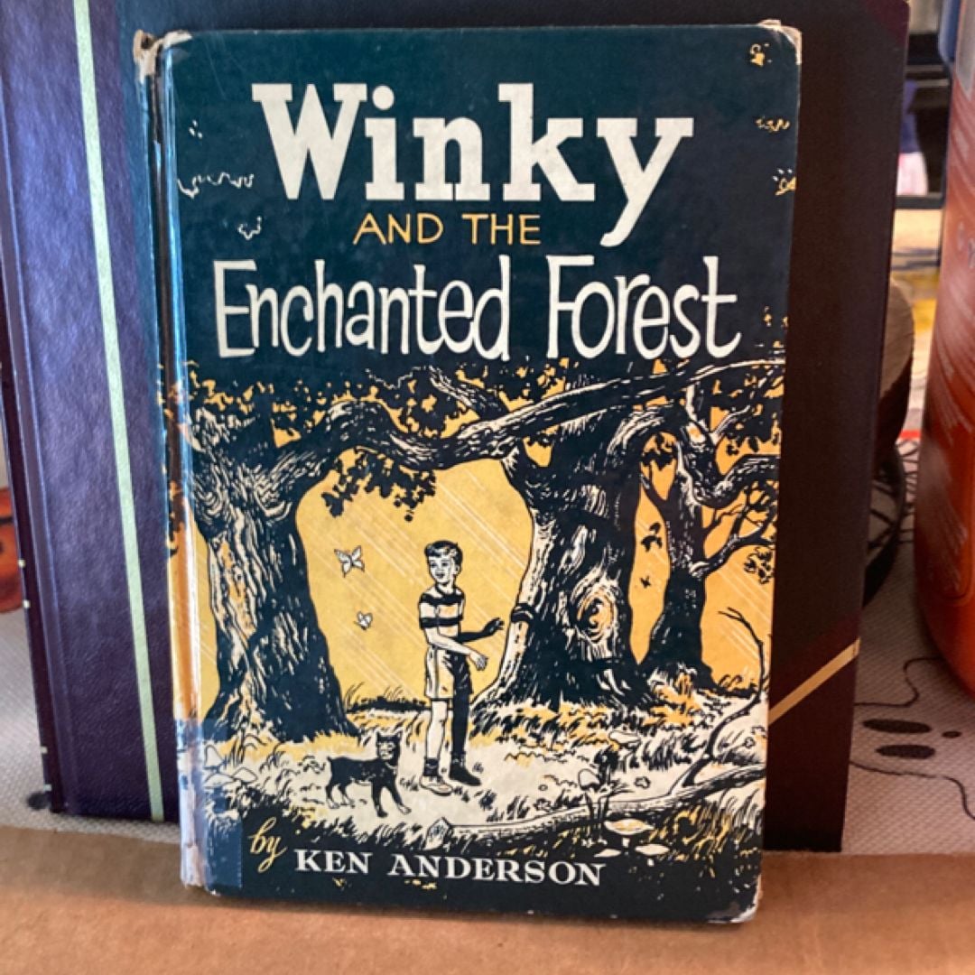 Winky and the Enchanted Forest (VINTAGE 1956) by Ken Anderson ...