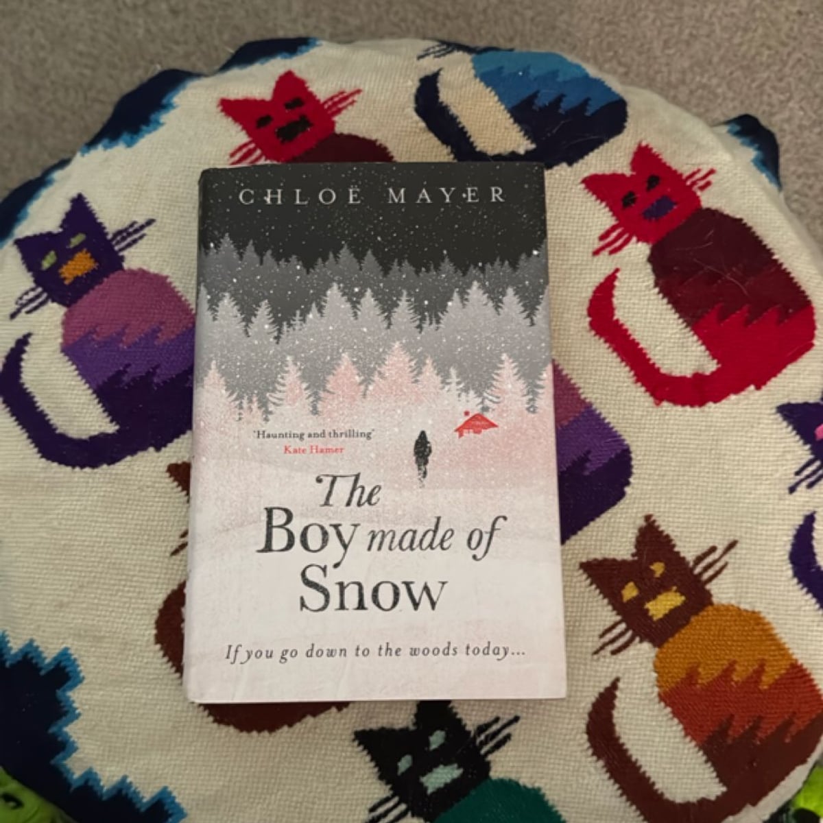 The Boy Made of Snow by Chloe Mayer