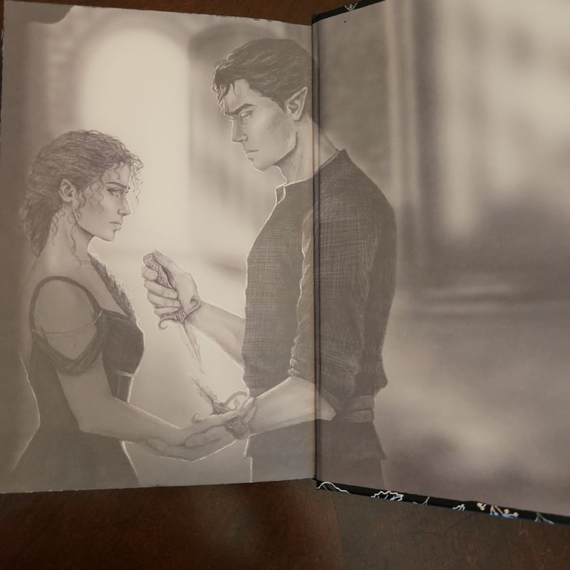 Untainted *SIGNED BOOKISH BOX EXCLUSIVE LUXE EDITION WITH STENCILED ...