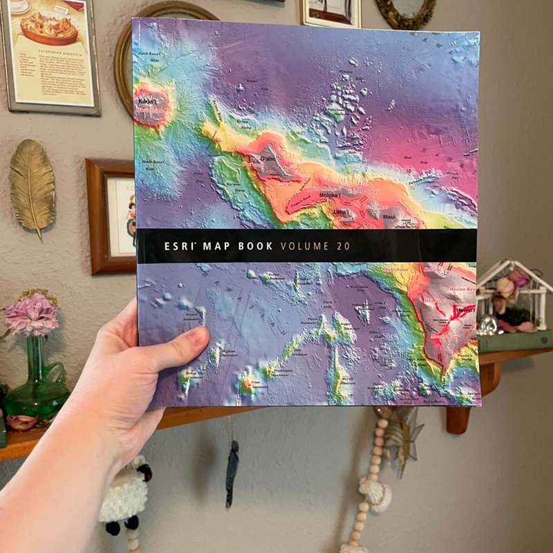 ESRI Map Book by Nancy Sappington