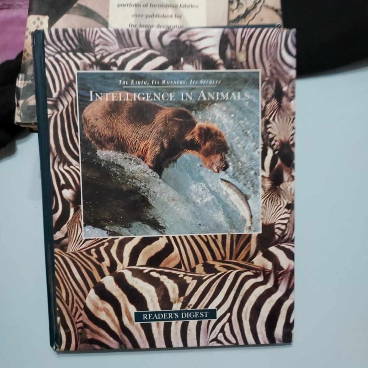 Intelligence in Animals by Reader's Digest Editors