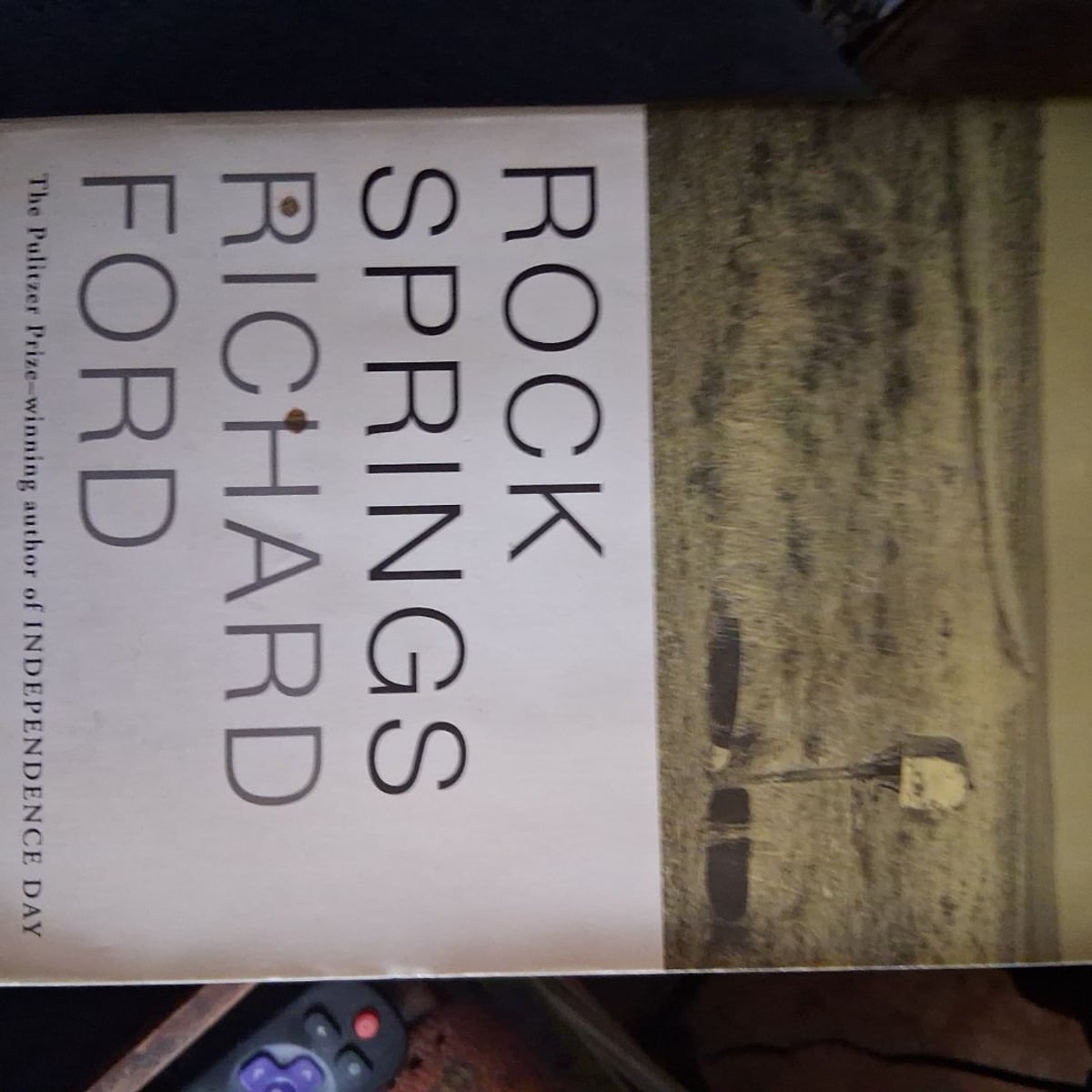 Rock Springs by Richard Ford