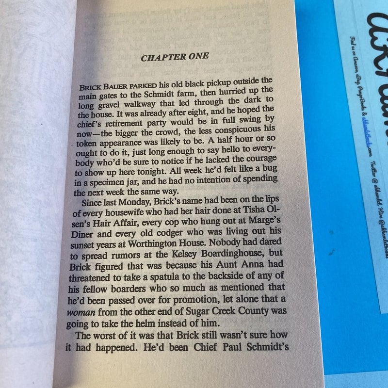 Blazing Star by Suzanne Ellison, Paperback | Pangobooks