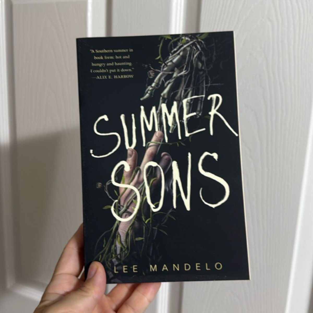 Summer Sons by Lee Mandelo