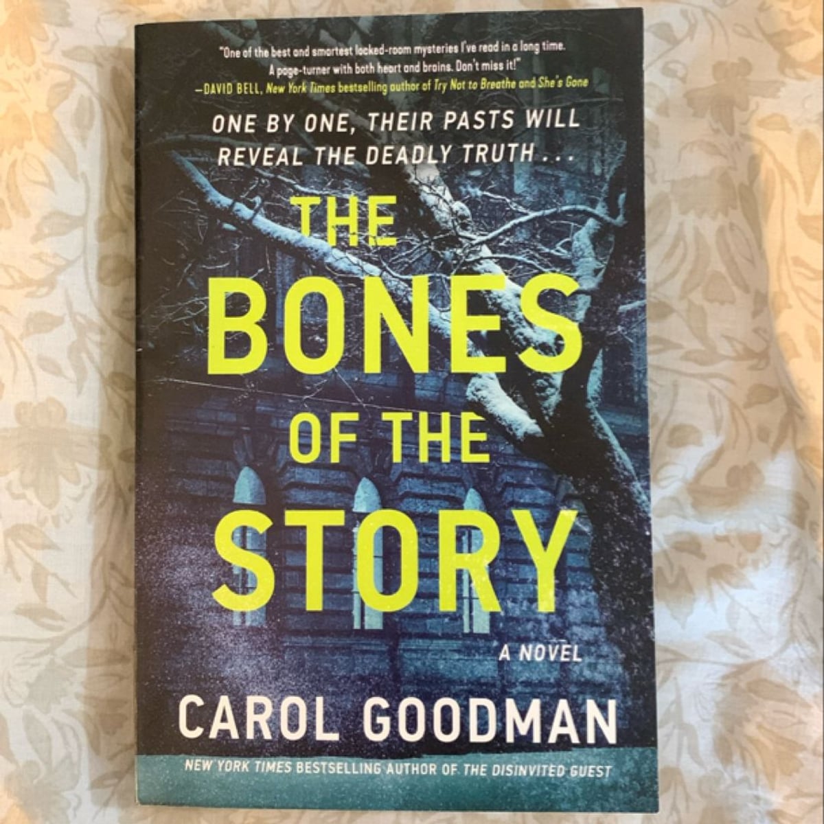 The Bones of the Story by Carol Goodman, Paperback | Pangobooks