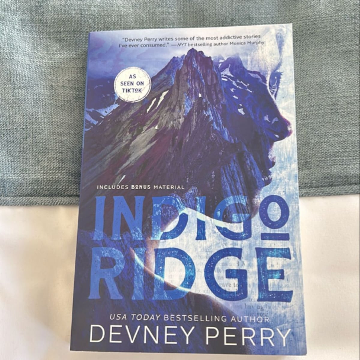 Indigo Ridge by Devney Perry, Paperback | Pangobooks