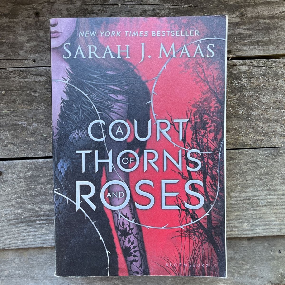 A Court of Thorns and Roses by Sarah J. Maas, Paperback | Pangobooks