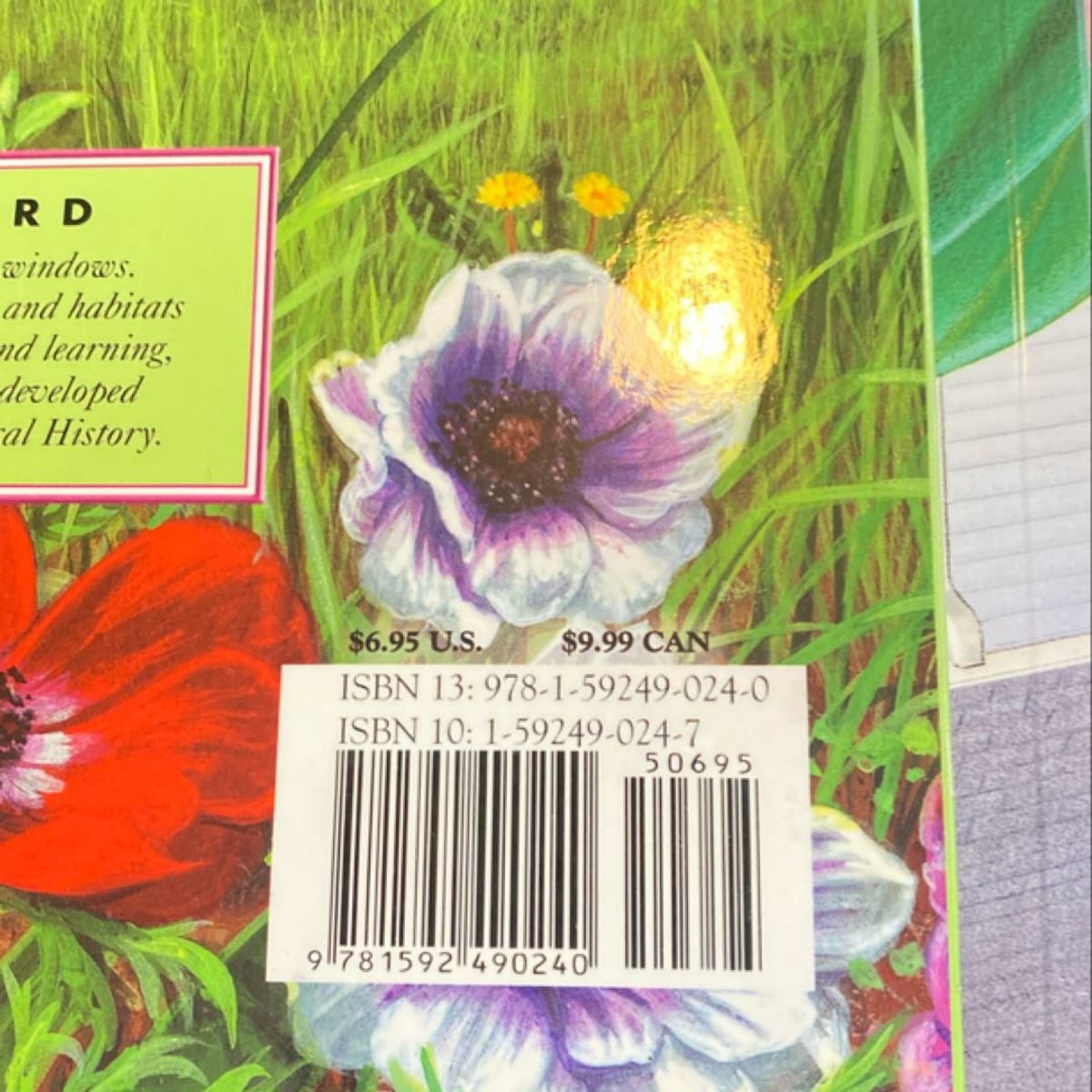 Groundhog at Evergreen Road by Susan Korman