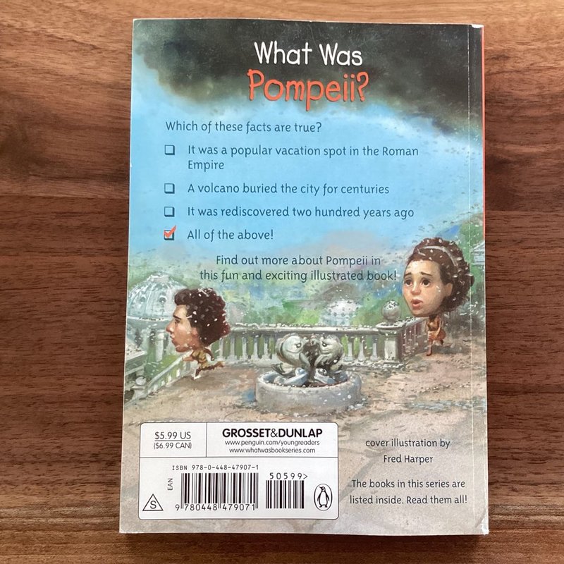 What Was Pompeii? by Jim O'Connor, Paperback | Pangobooks