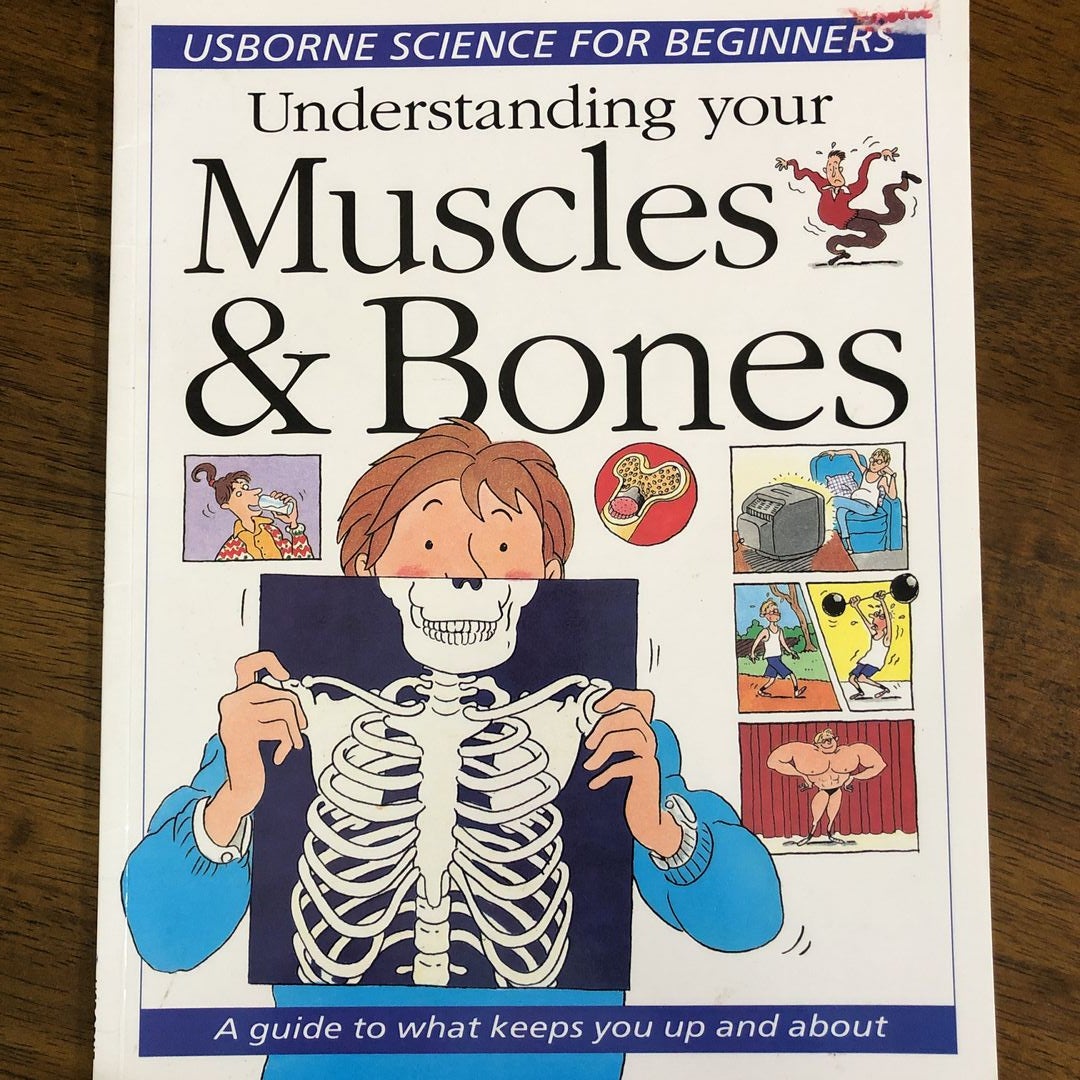 Understanding Your Muscles and Bones by Rebecca Treays