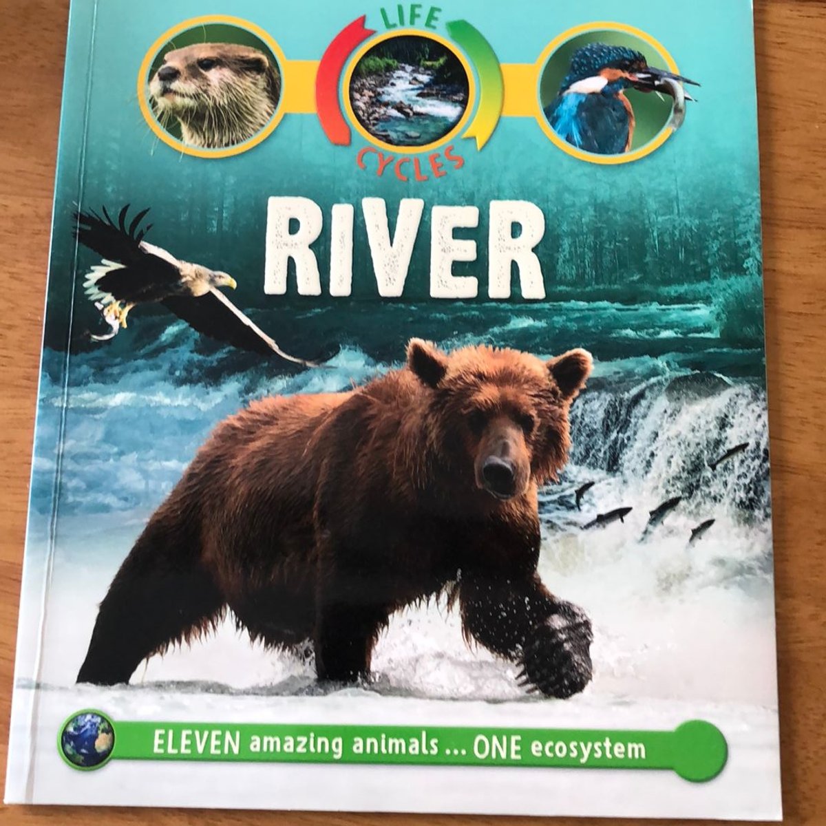 Life Cycles: River by Sean Callery