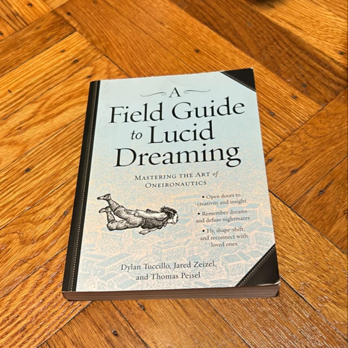A Field Guide to Lucid Dreaming by Dylan Tuccillo, Jared Zeizel, Thomas ...