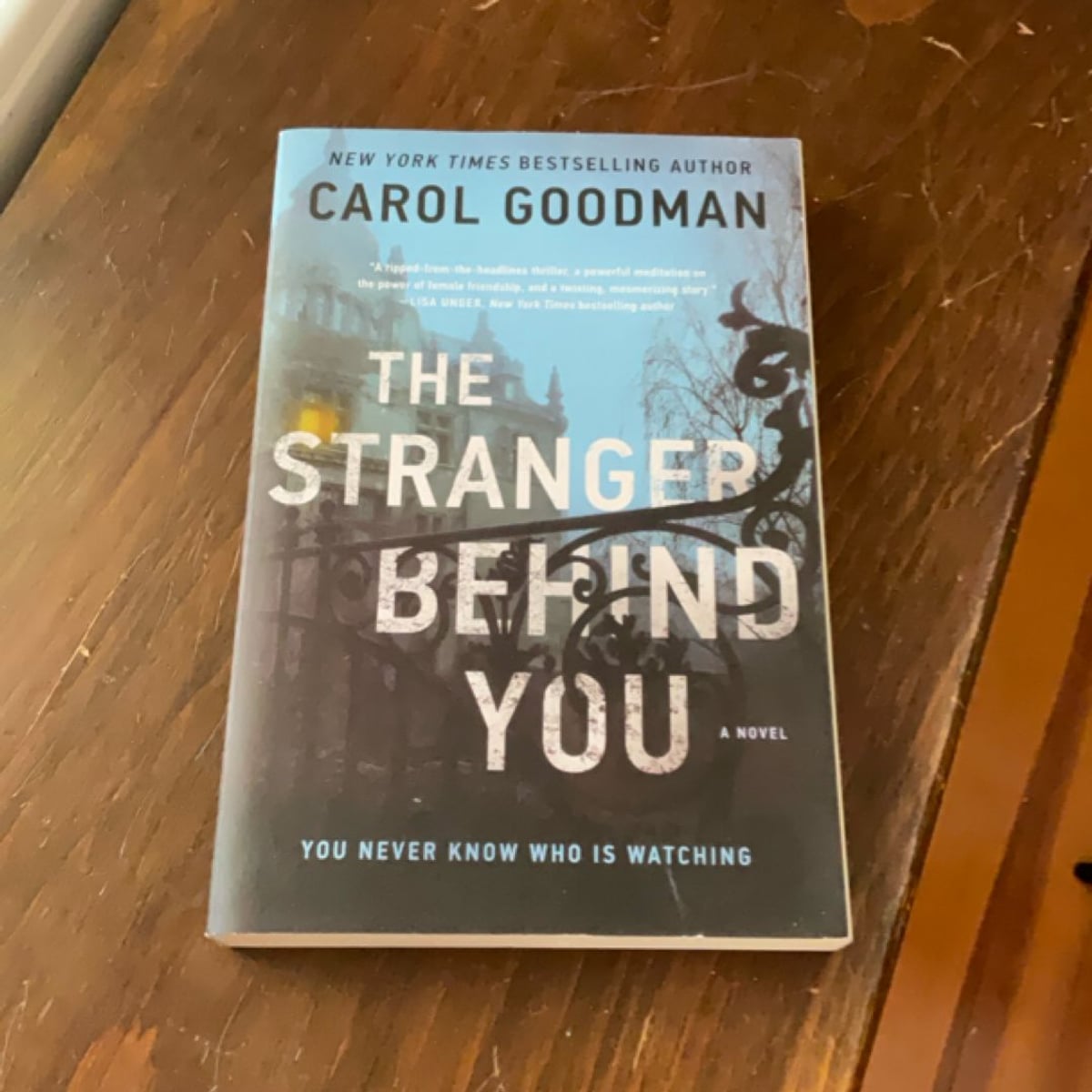 The Stranger Behind You by Carol Goodman