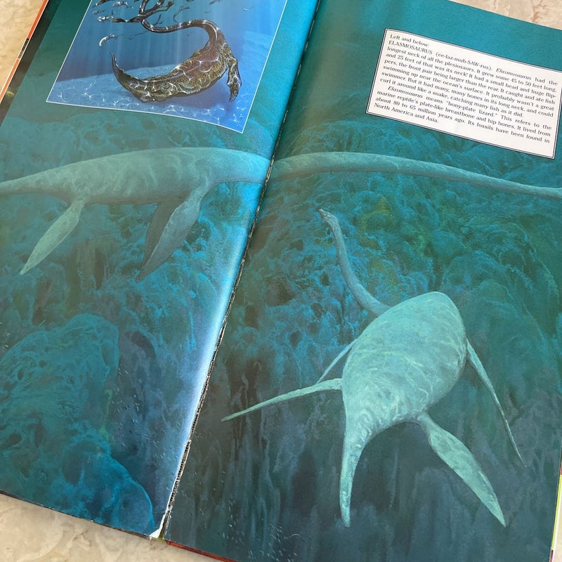 Beyond the Dinosaurs