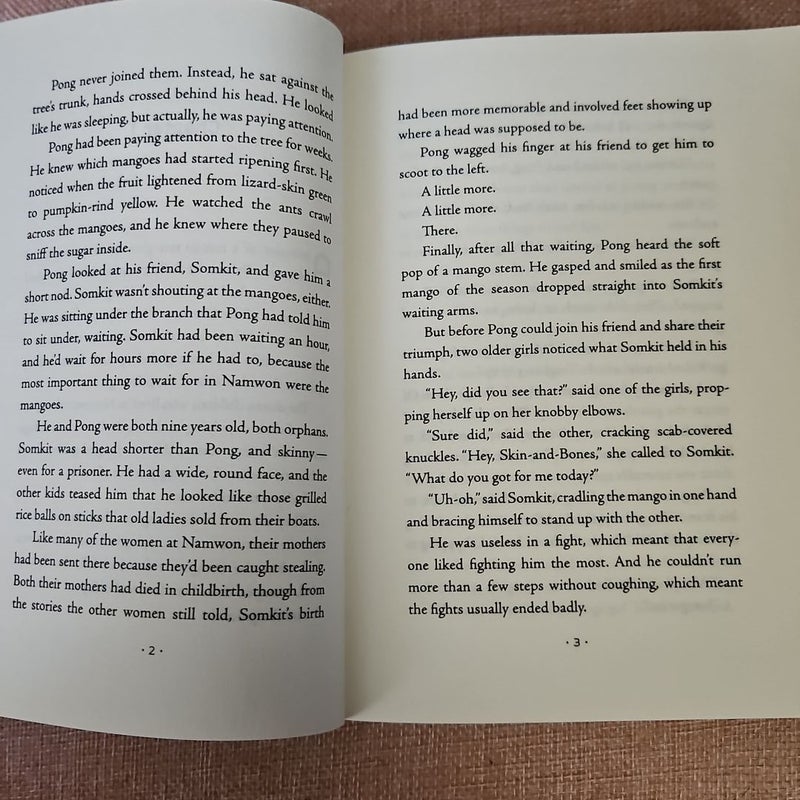 A Wish in the Dark by Christina Soontornvat, Paperback | Pango Books