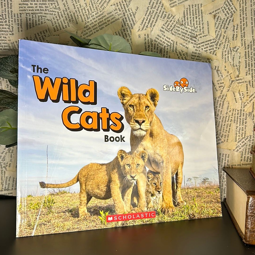 The Wild Cats Book (Side by Side) by Rebecca Silverstein
