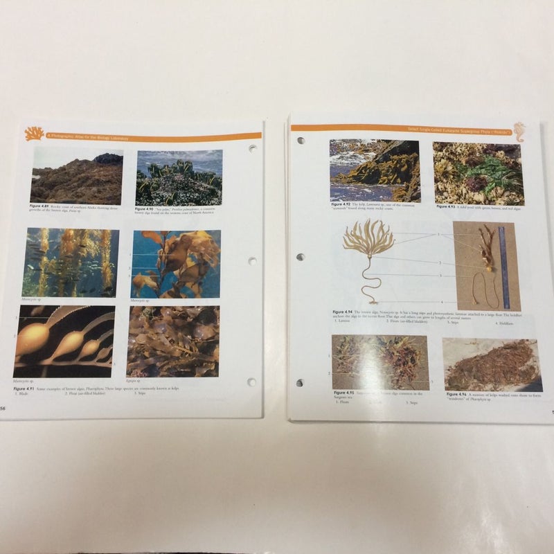 Van de Graaff's Photographic Atlas for the Biology Laboratory by Byron ...