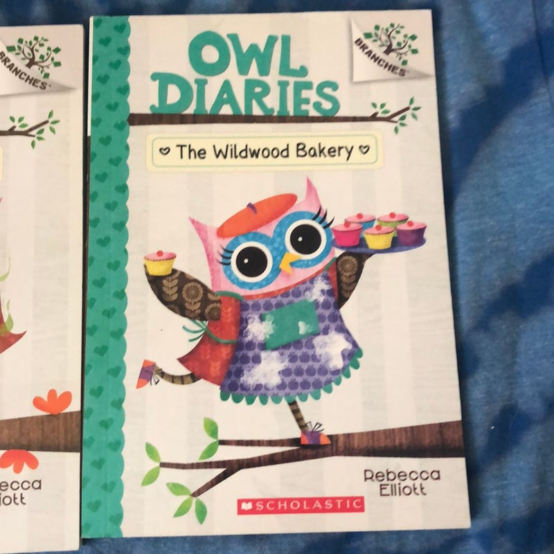 Owl Diaries - 7 book set by Rebecca Elliott, Paperback | Pangobooks