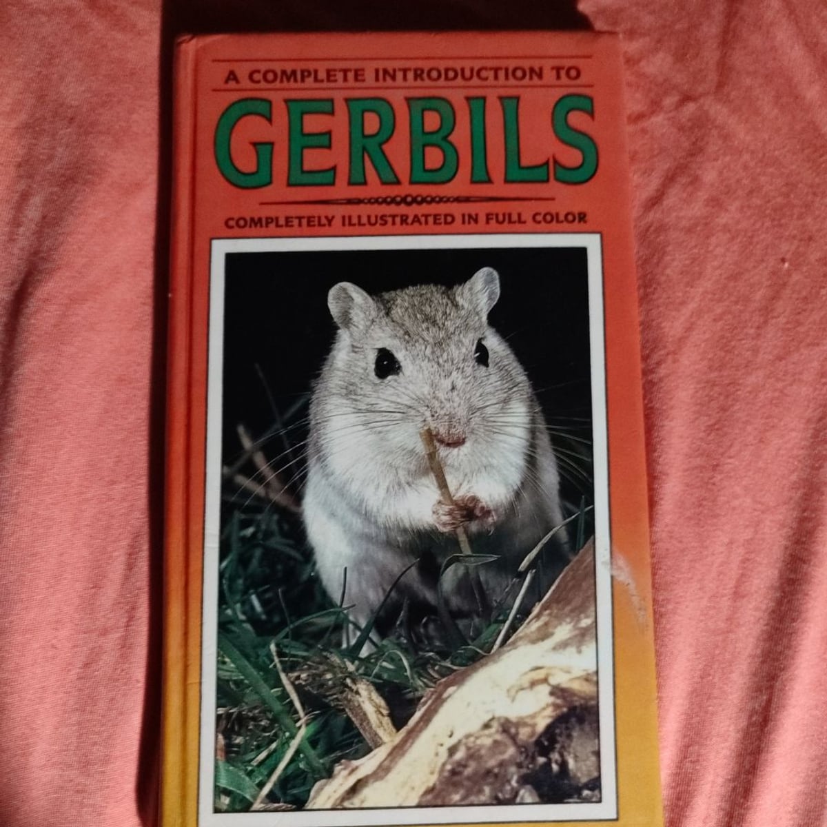 A Complete Introduction to Gerbils by Marshall E. Ostrow