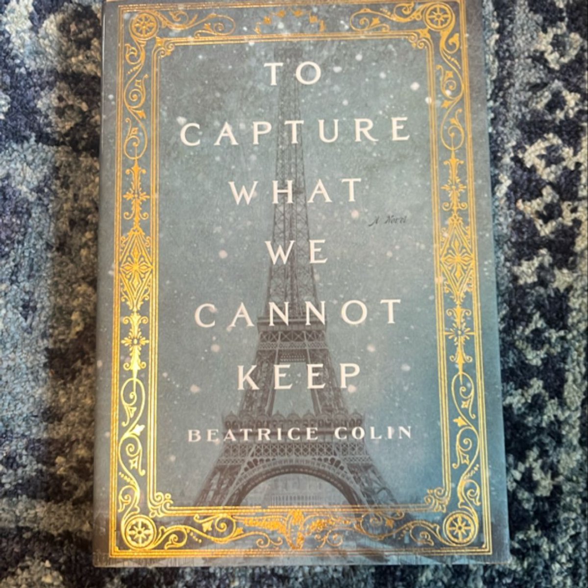 To Capture What We Cannot Keep by Beatrice Colin