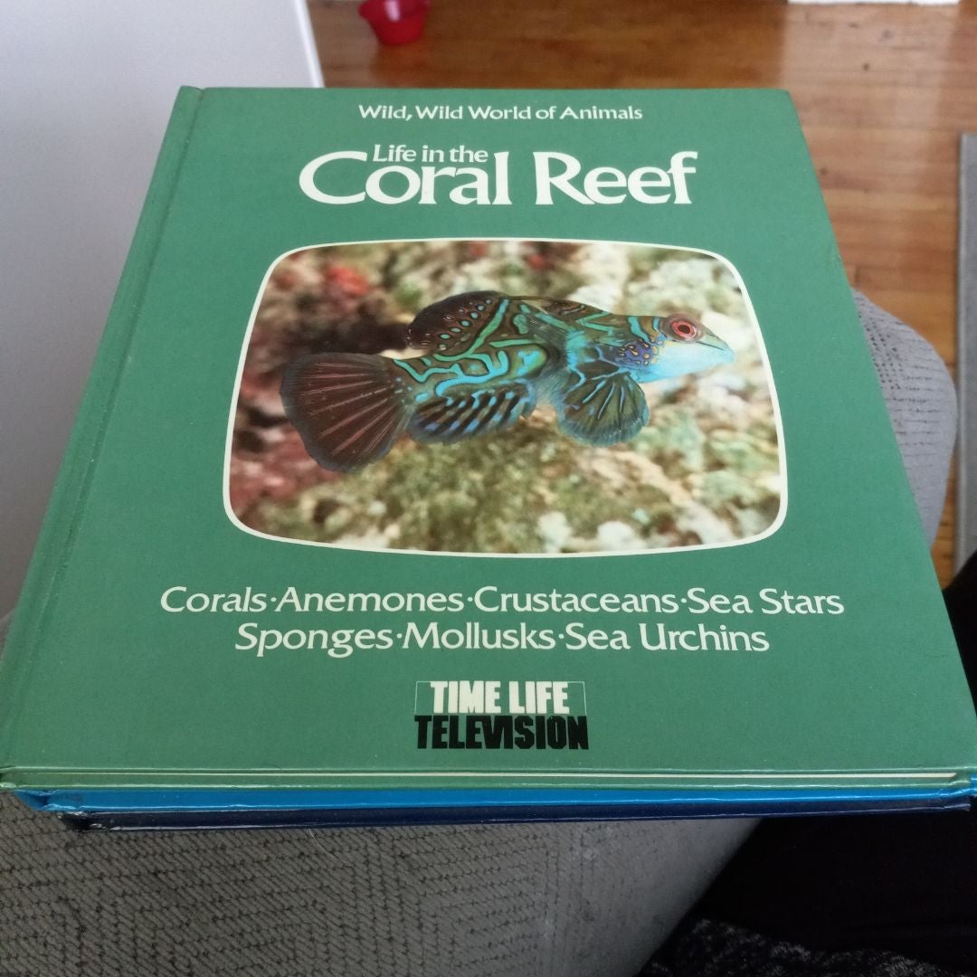 Life in the coral reef by Time Life television, Hardcover | Pangobooks