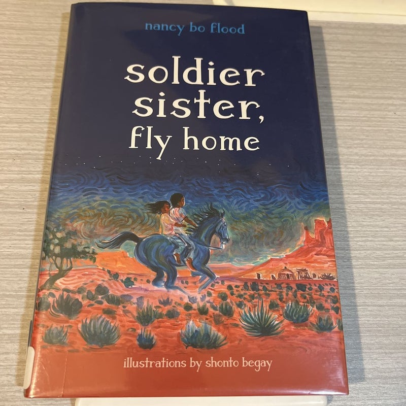 Soldier Sister, Fly Home by Nancy Bo Flood