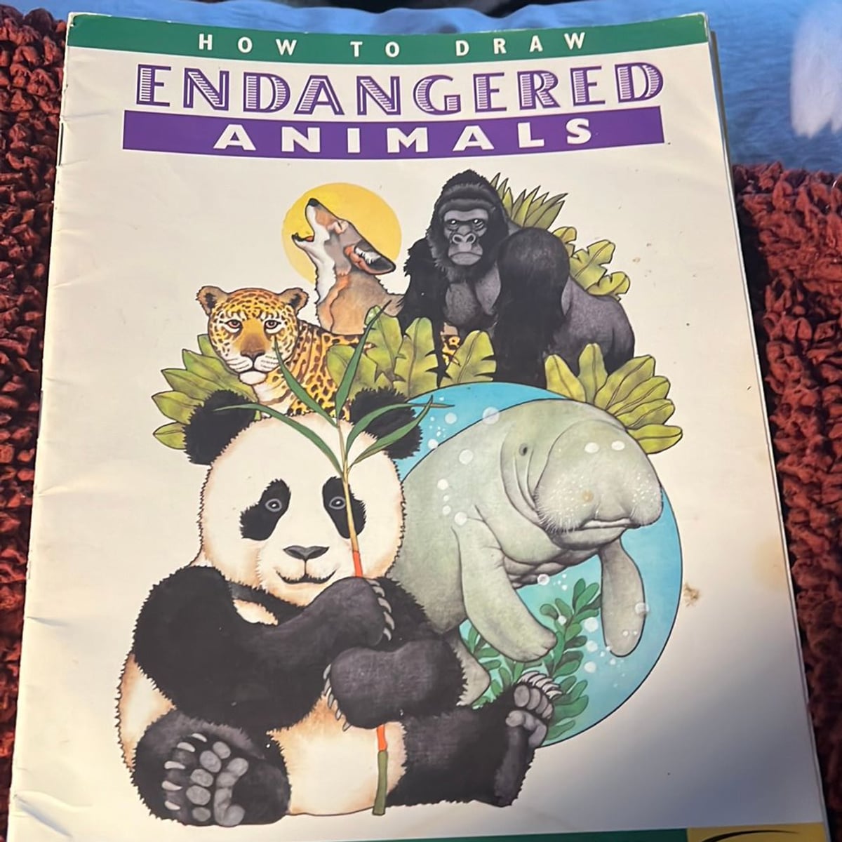 How to Draw Endangered Animals by Molly Walsh