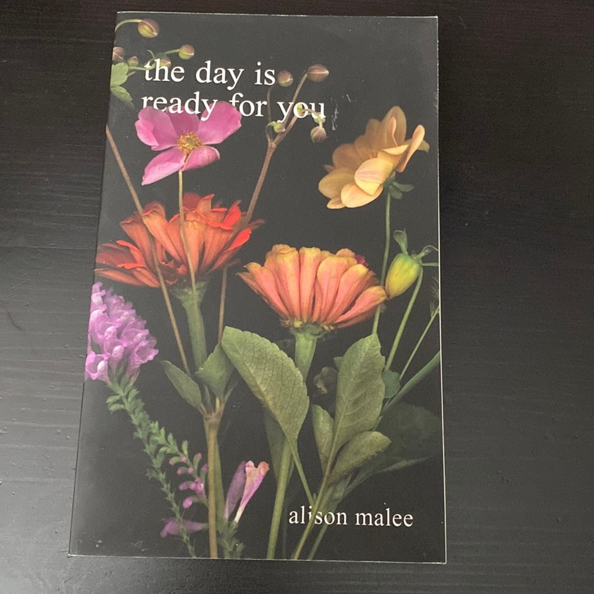 The Day Is Ready for You by Alison Malee