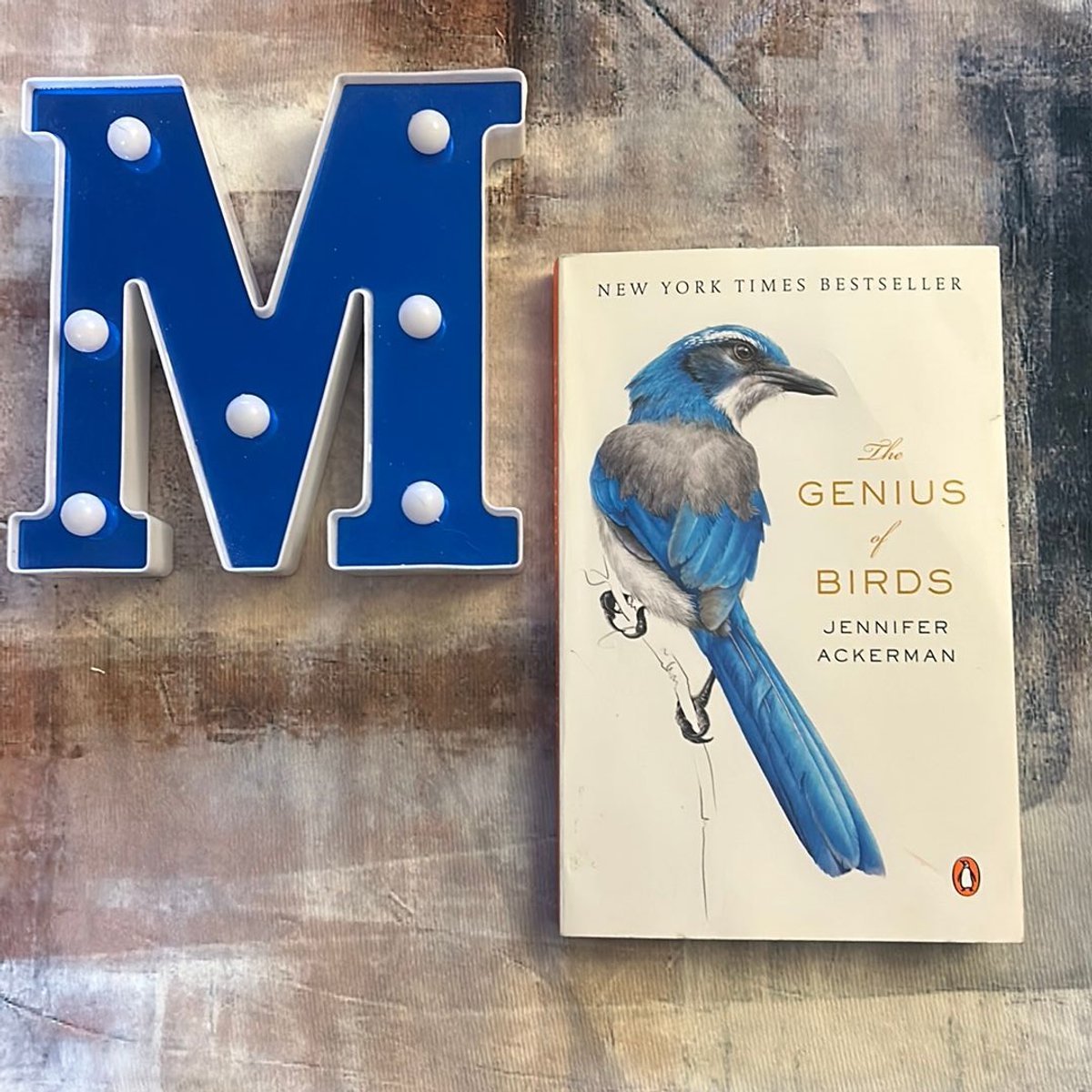 The Genius of Birds by Jennifer Ackerman