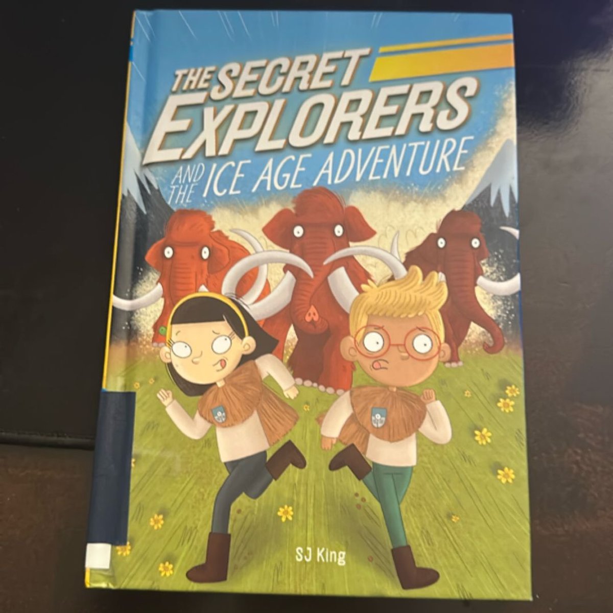 The Secret Explorers and the Ice Age Adventure by S. J. King