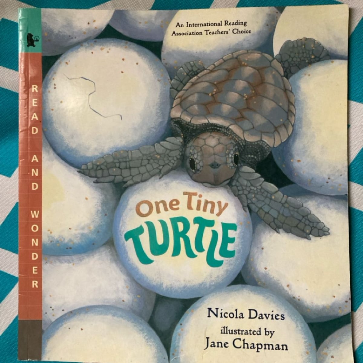 One Tiny Turtle by Nicola Davies; Jane Chapman (Illustrator)
