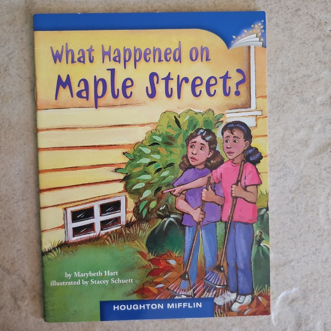 What Happened on Mapple Street? by Marybeth Hart, Paperback | Pangobooks