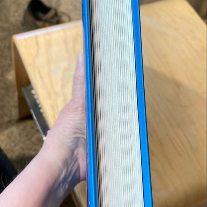 The Lost Story by Meg Shaffer