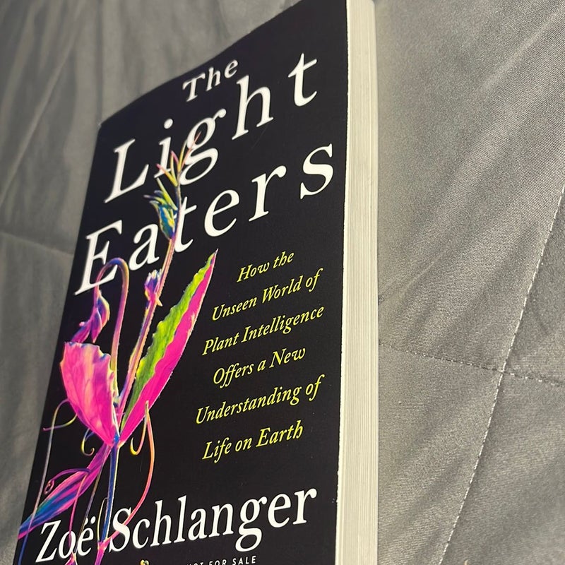 The Light Eaters ARC by Zoe Schlanger, Paperback | Pangobooks