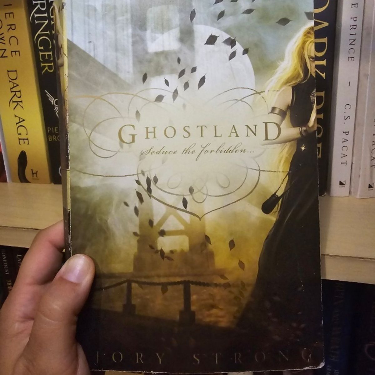 Ghostland by Jory Strong