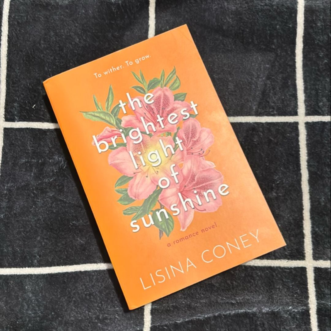 Brightest Light of Sunshine by Lisina Coney