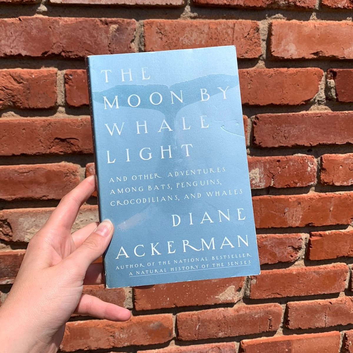 Moon by Whale Light by Diane Ackerman