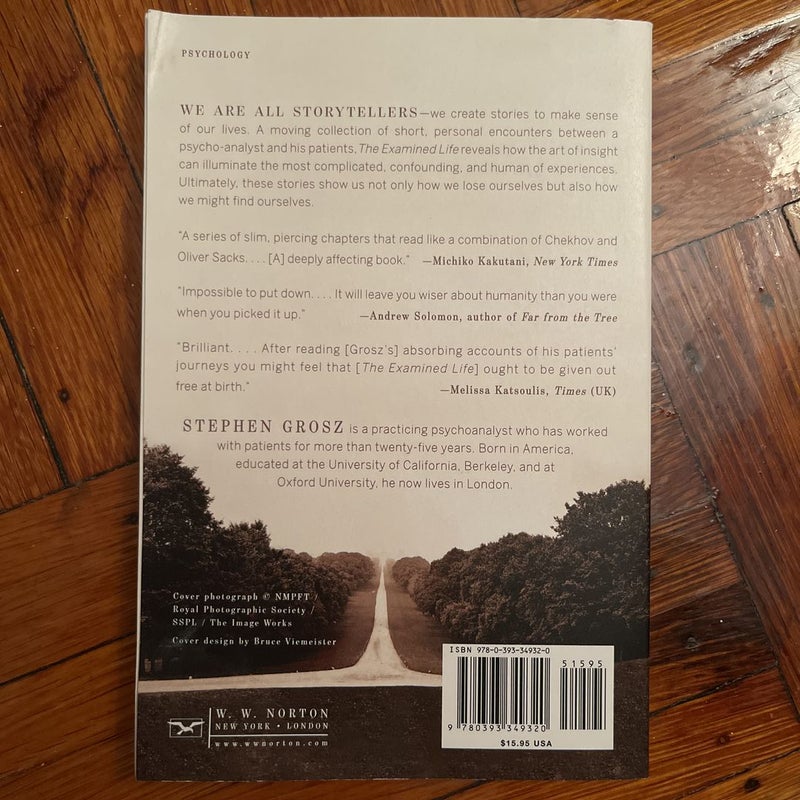 The Examined Life by Stephen Grosz, Paperback | Pangobooks