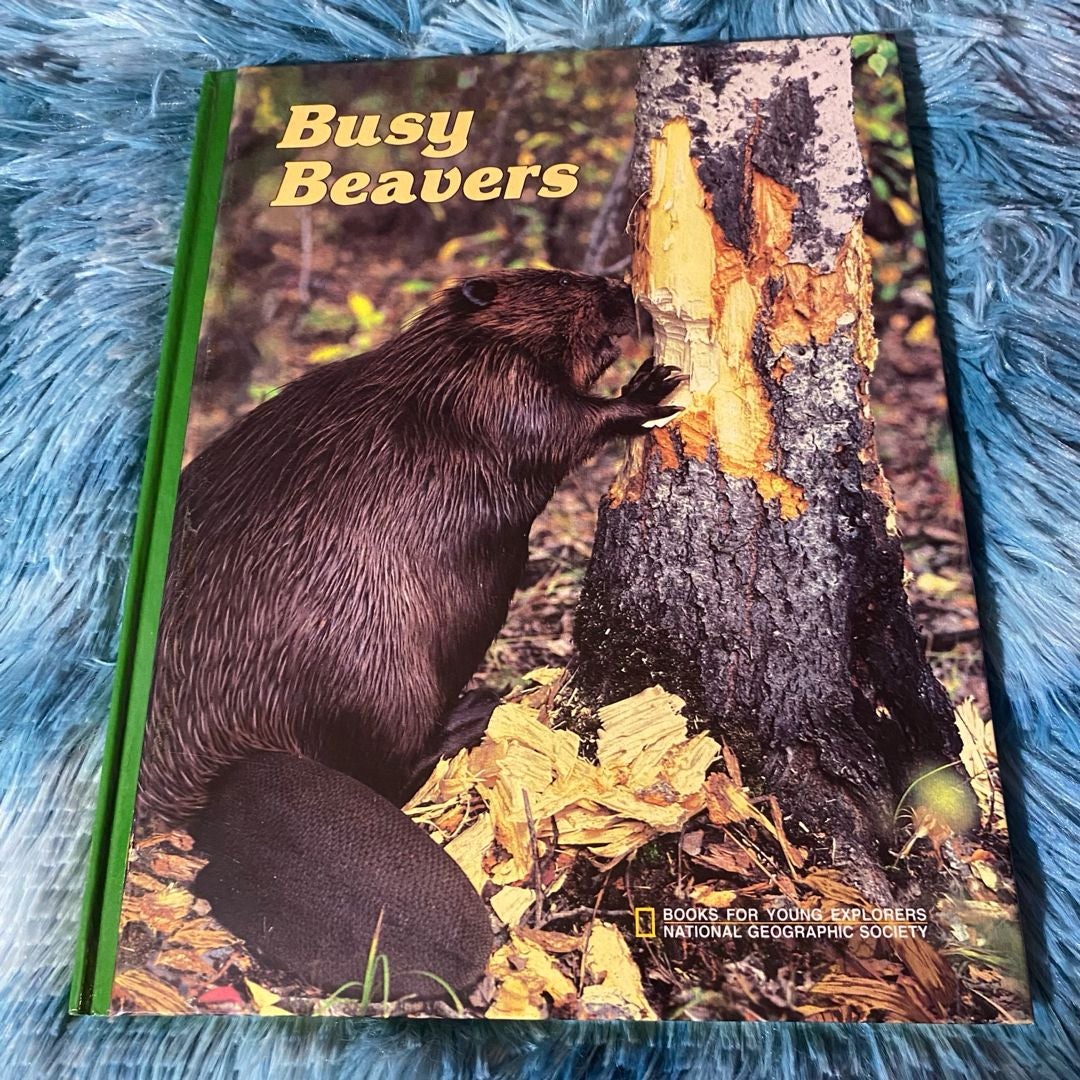 Busy Beavers by U. S. National Geographic Society Staff