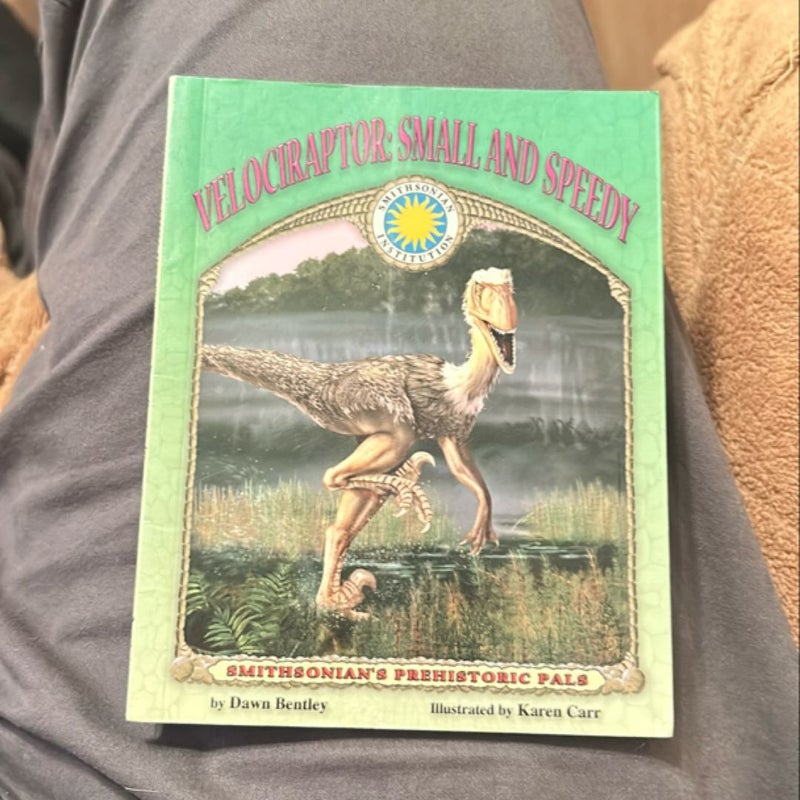 Velociraptor by Dawn Bentley