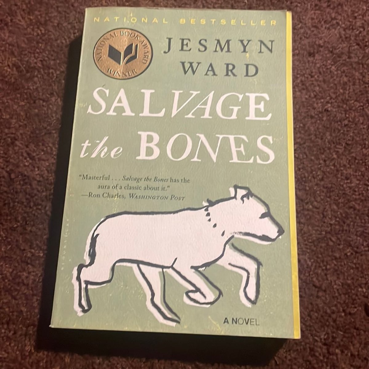 Salvage the Bones by Jesmyn Ward