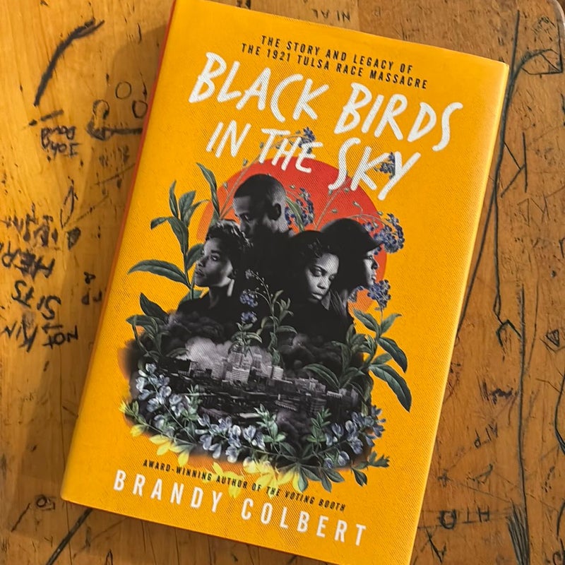 Black Birds in the Sky by Brandy Colbert