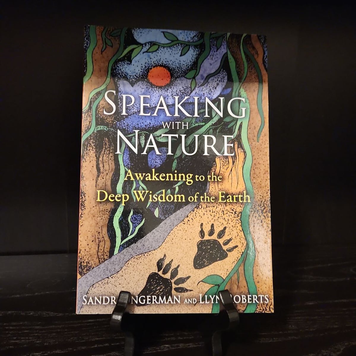 Speaking with Nature by Sandra Ingerman, Paperback | Pangobooks